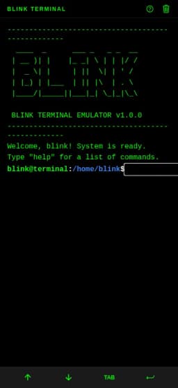Web Terminal Emulator