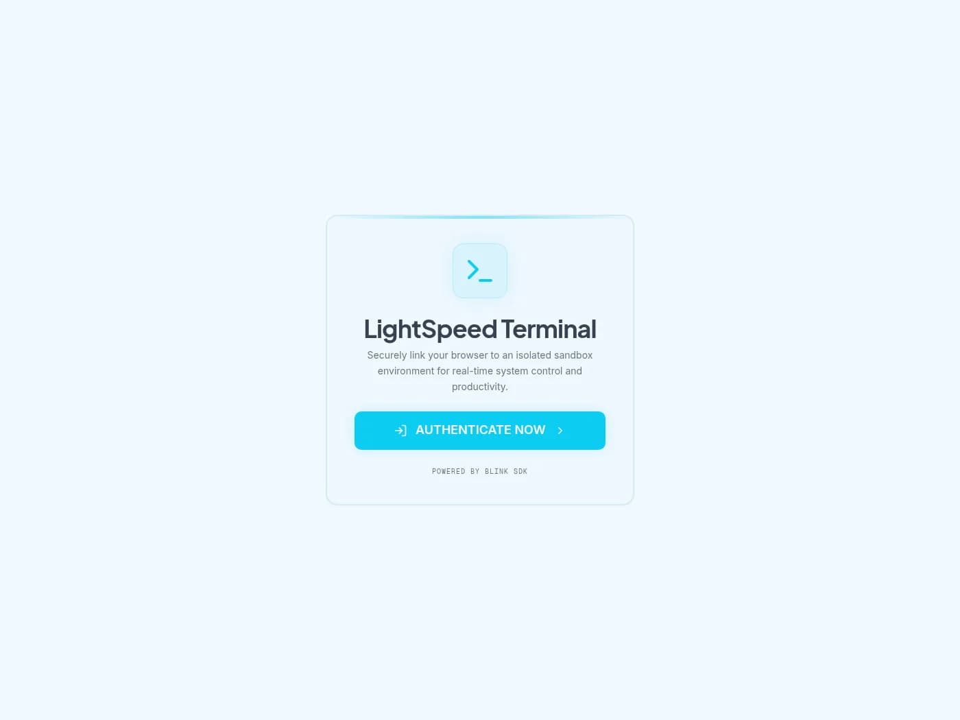LightSpeed Web Terminal
