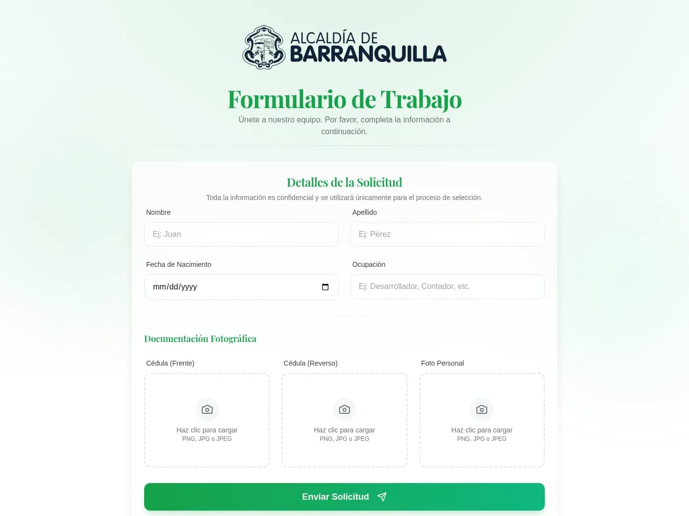 Professional Work Form