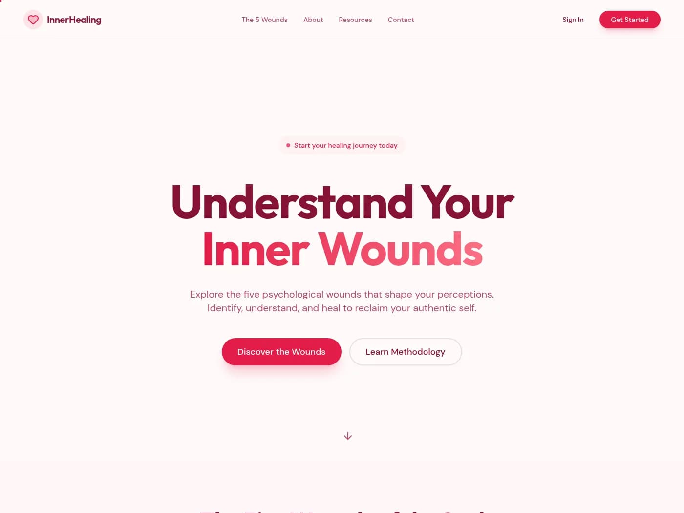 Wounds Insight Web App