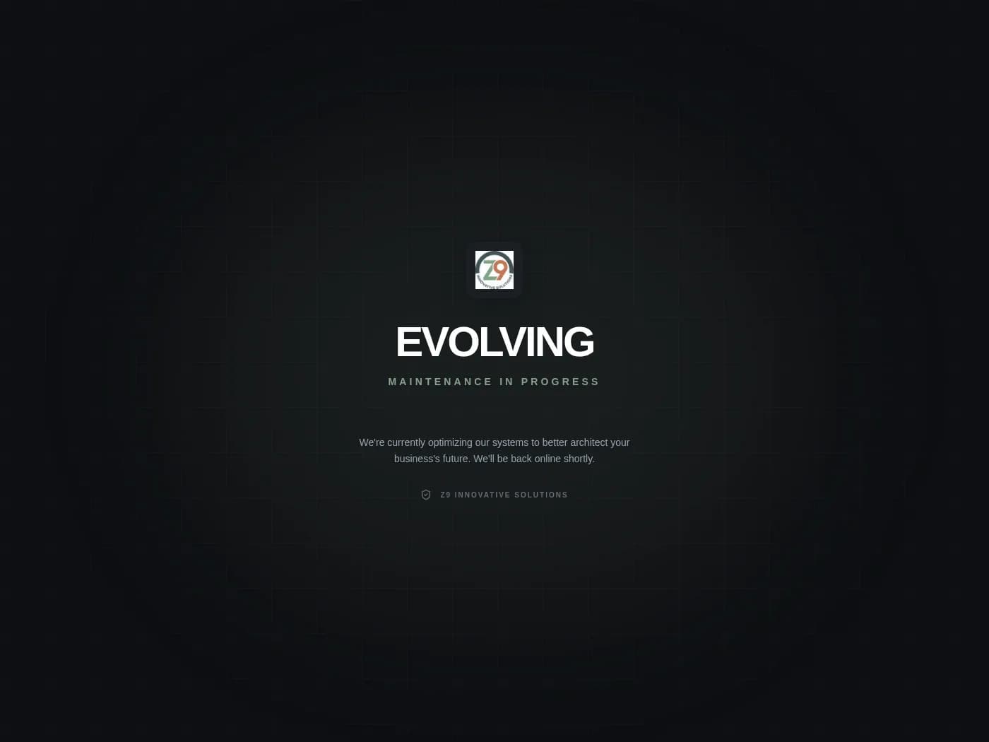 Z9 AI Consulting Site