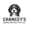 Chancey Cavaretta
