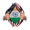 Indian Vlogs