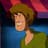 Shaggy
