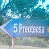 Preoteasa Florinel