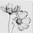 Talija Zadro