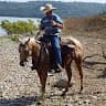 S Bar K Ranch
