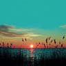 Hyphen -