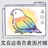 橘子海（shanfuerer）