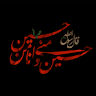 Abid Raza Mir