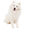 Blank Kuhaku