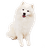 Blank Kuhaku
