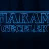 HARAM GECELER