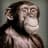 VID