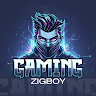 Zigboy Gaming