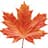 Maple Leaf