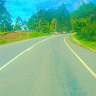Panu Zaring