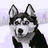 Aamish [Extra Account]