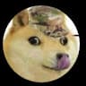Yosoyungringo