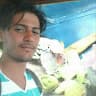 amr el hawary