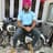 Ramandeep Singh