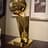 Joel Augustin