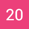 20 SHADOW
