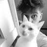 Thibault Gauvin
