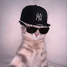 MashSmash