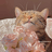 Aygun Heseneliyeva
