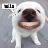 Funny Hello