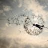 Dennis De St Jeor