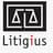 Litigius Law