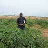 Sileymane Alassane Wagne