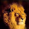 Mafaly TOURE