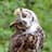 Beakz_