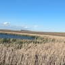 yohana zozimo