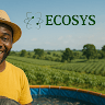 ecosys international
