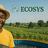 ecosys international