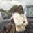Gyamfi Eric
