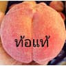 surapat wongsankhakorn