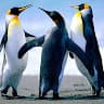 Admin systeme