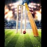 World Of Cricket