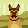 Wolf Desir