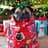 present pug