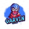 Gaming With Garvin