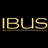 iBus Luxury