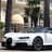 Bugatti Lover