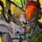 Joker 111