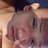 rakhadwi fadriansyah
